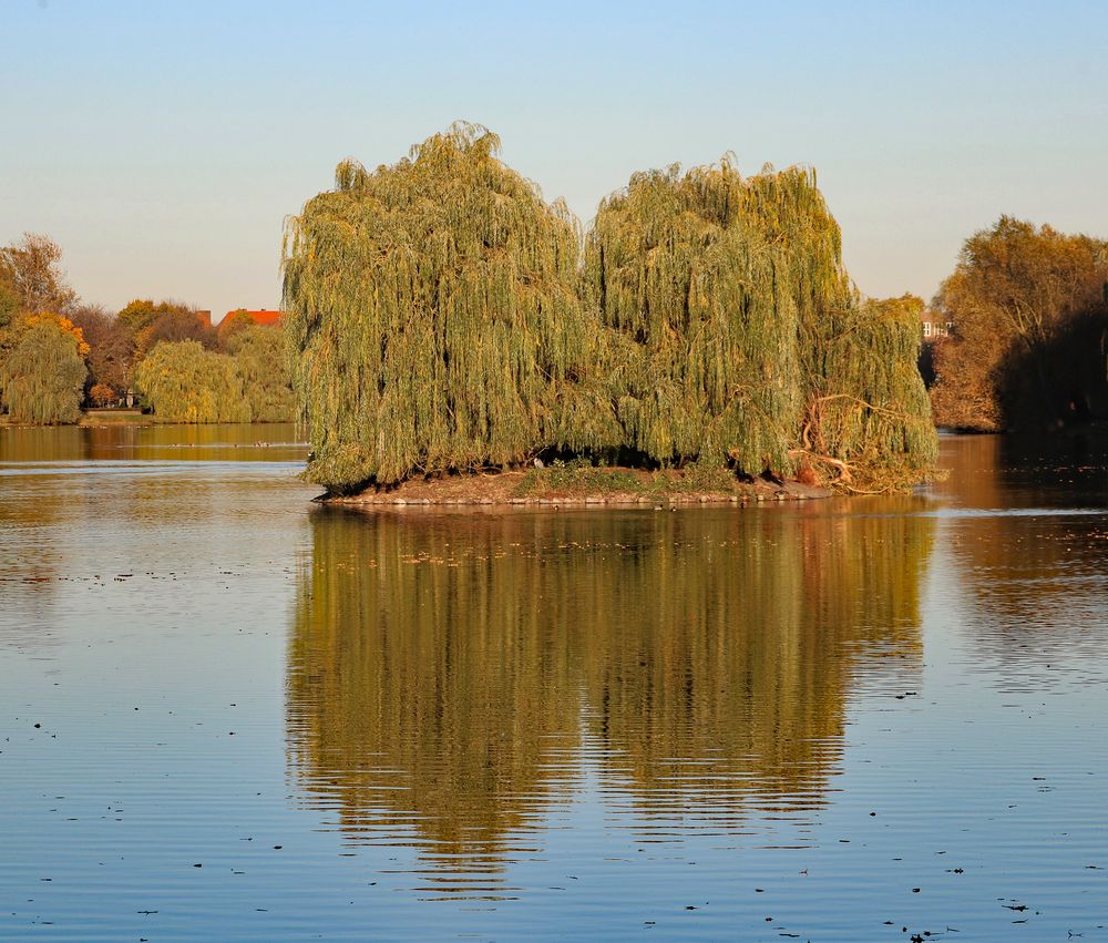 Die kleine Insel im See Foto & Bild | natur, landschaft, projekte ...