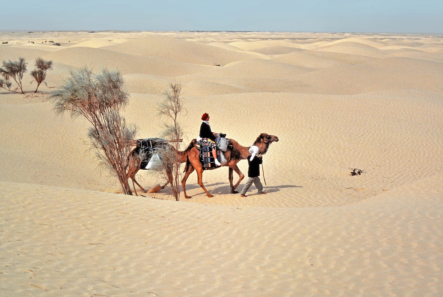 die Königin von Saba ? Foto & Bild | world, sand, natur Bilder auf ...
