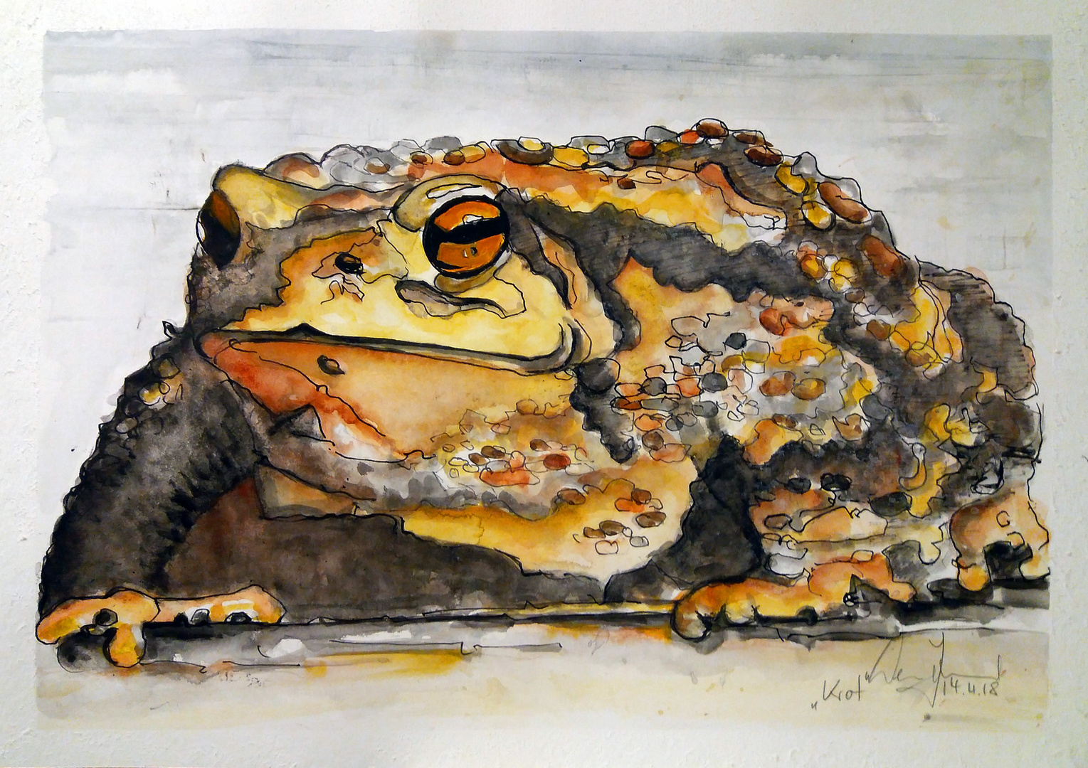 ...die "Krot" Foto & Bild | grafik, kunst, aquarelle Bilder auf ...