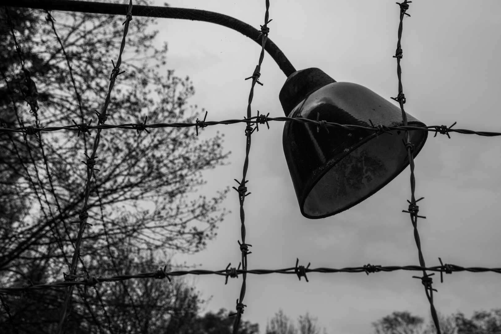 die Lampe Foto & Bild | projekte, 5 - schwarzweißer freitag, thementage ...