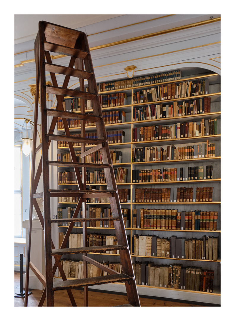 Die Leiter Foto & Bild | world, bibliothek, unterwegs Bilder auf ...