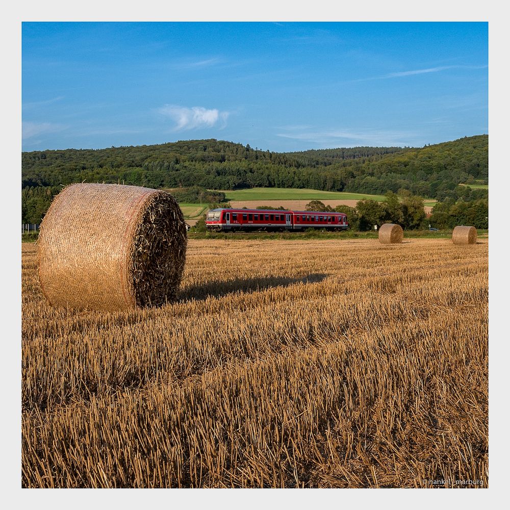Die letzten Tage im August Foto & Bild | rot, lahn, heimat Bilder auf ...