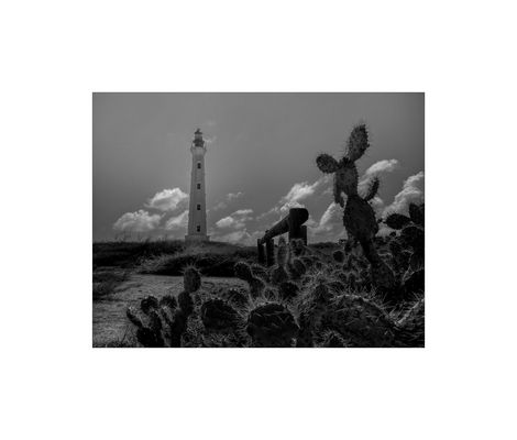 Leuchtturm Bilder & Fotos