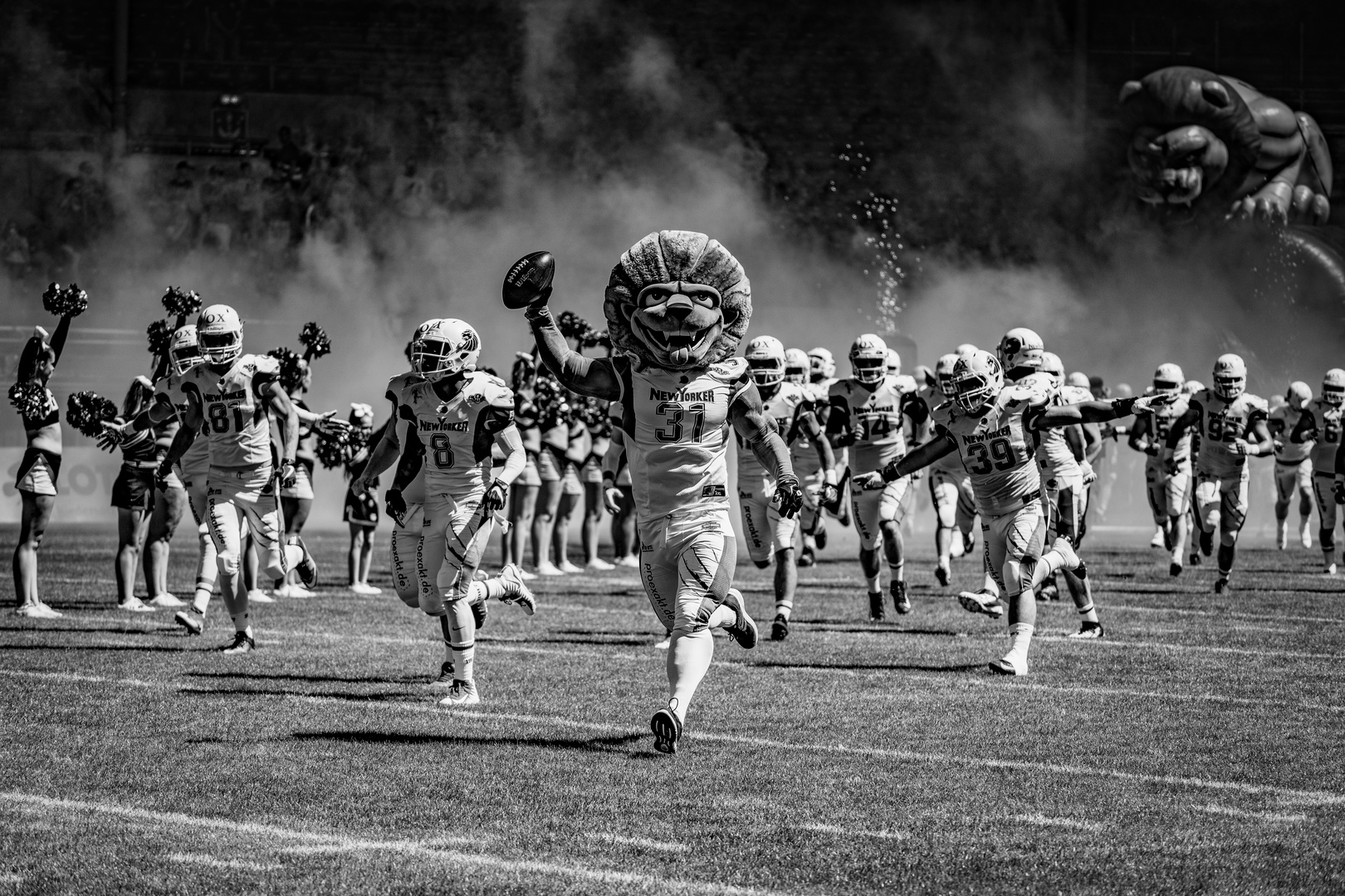 die Löwen sind da Foto & Bild | sport, ballsport, projekte Bilder auf ...