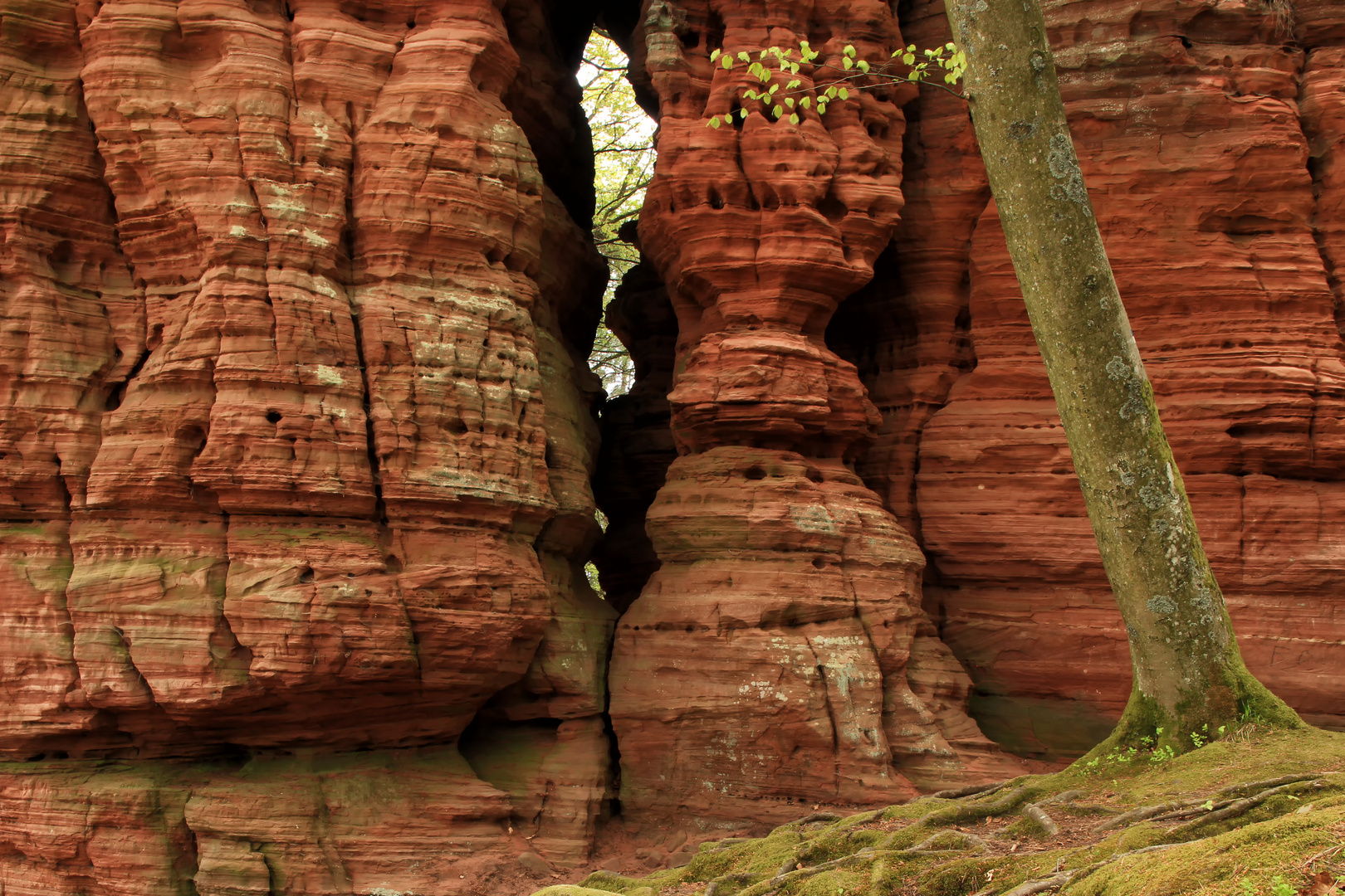 Die Lücke * * * Foto & Bild | deutschland, europe, rheinland-pfalz ...