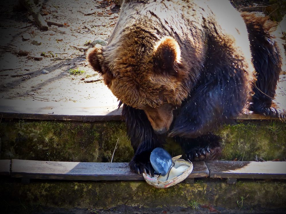 Die Luft ist raus... Foto & Bild | sport, fußball, natur Bilder auf ...