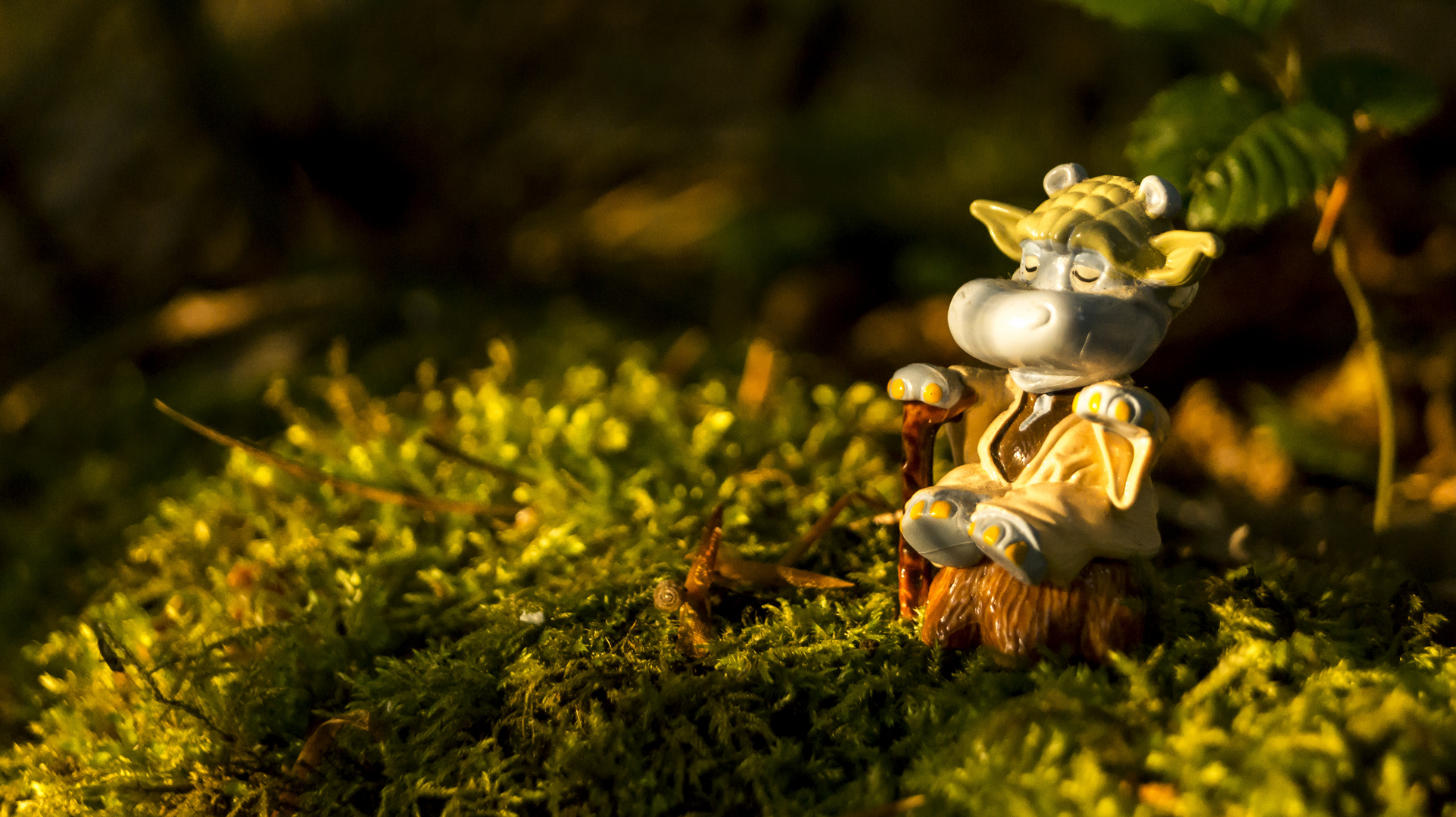 Die Macht,Stark in Dir ist! Foto & Bild | stillleben, figuren und ...