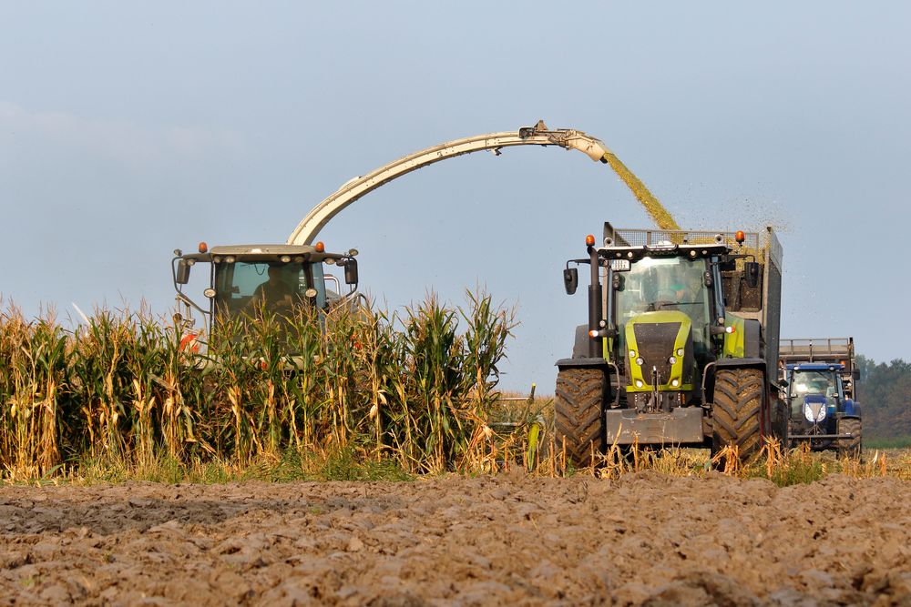 Die Maisernte ist in vollem Gange Foto & Bild | industrie und technik ...