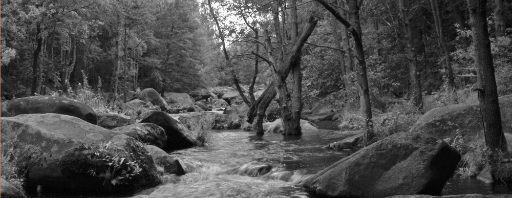 Die Moldau Foto & Bild | landschaft, natur Bilder auf fotocommunity