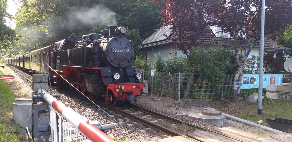die Molli kommt Foto & Bild | historische eisenbahnen, museale bahnen ...