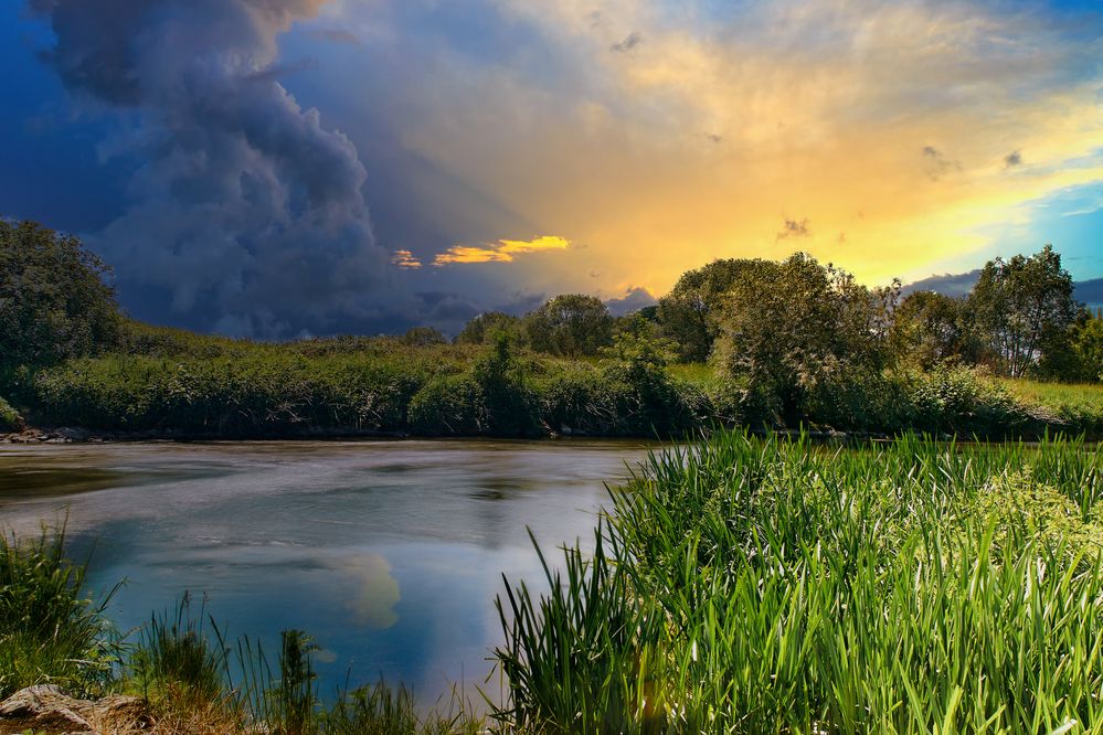Die Mulde Foto & Bild | landschaft, bach, fluss & see, flüsse und ...