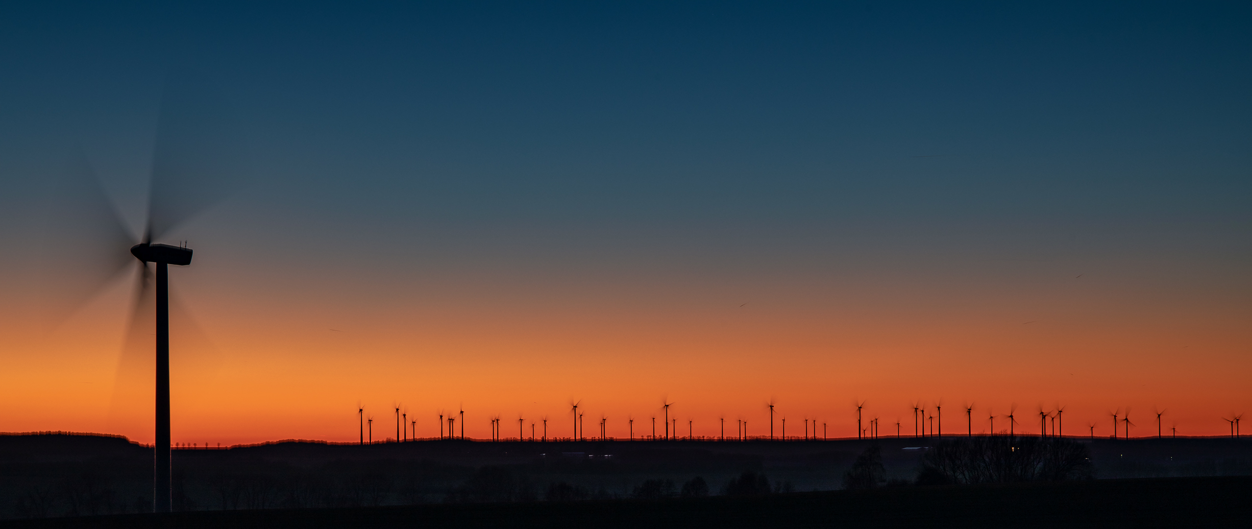 Die Mutter mit ihren 58 Kindern... Foto & Bild | deutschland, europe ...