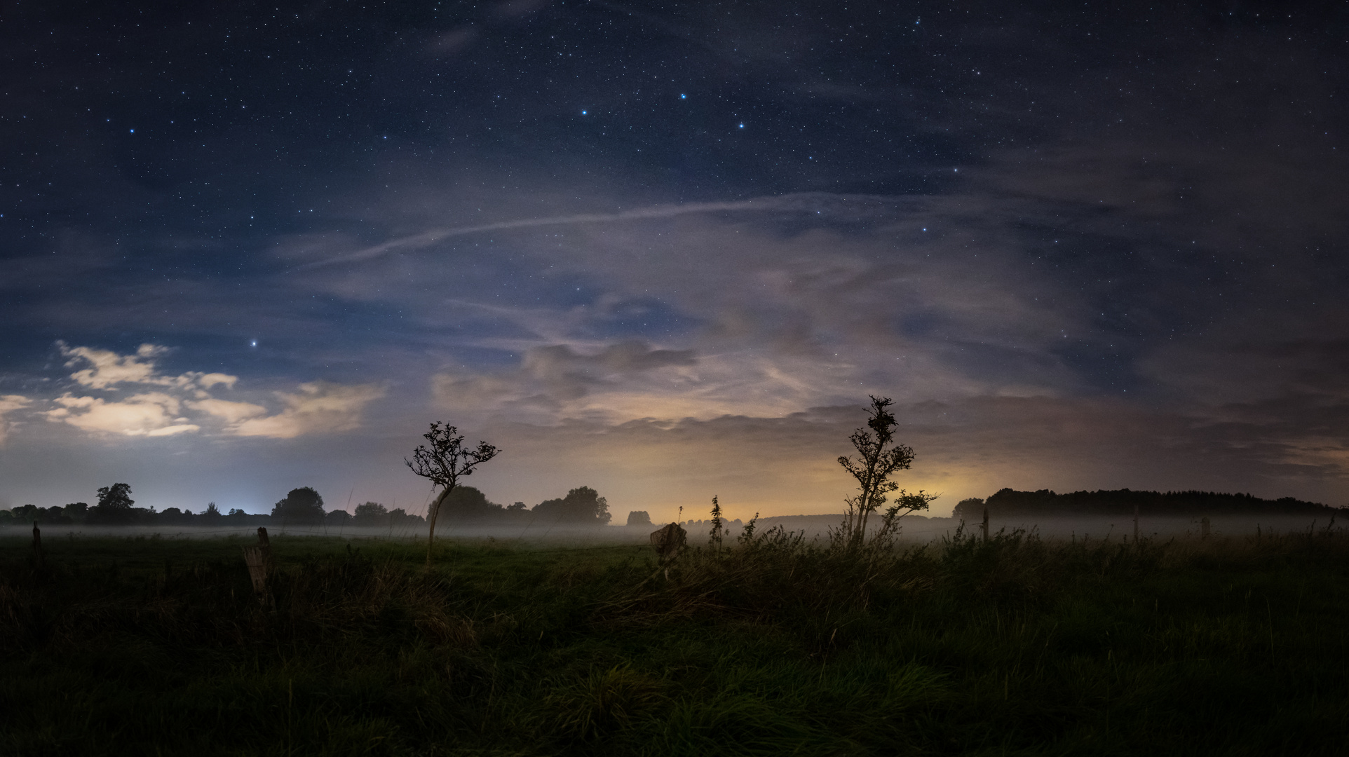 Die Nacht der Nebel Foto & Bild | landschaften, bäume, wolken Bilder ...