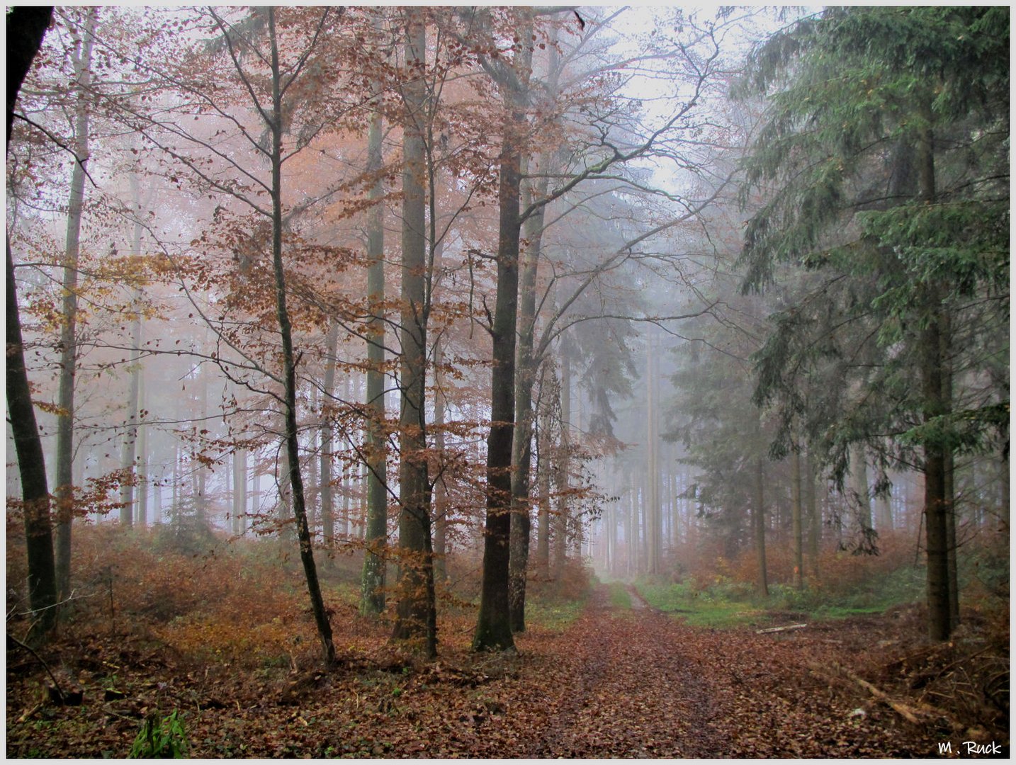 Die Nebel halten sich über den ganzen Tag , Foto & Bild | landschaft ...