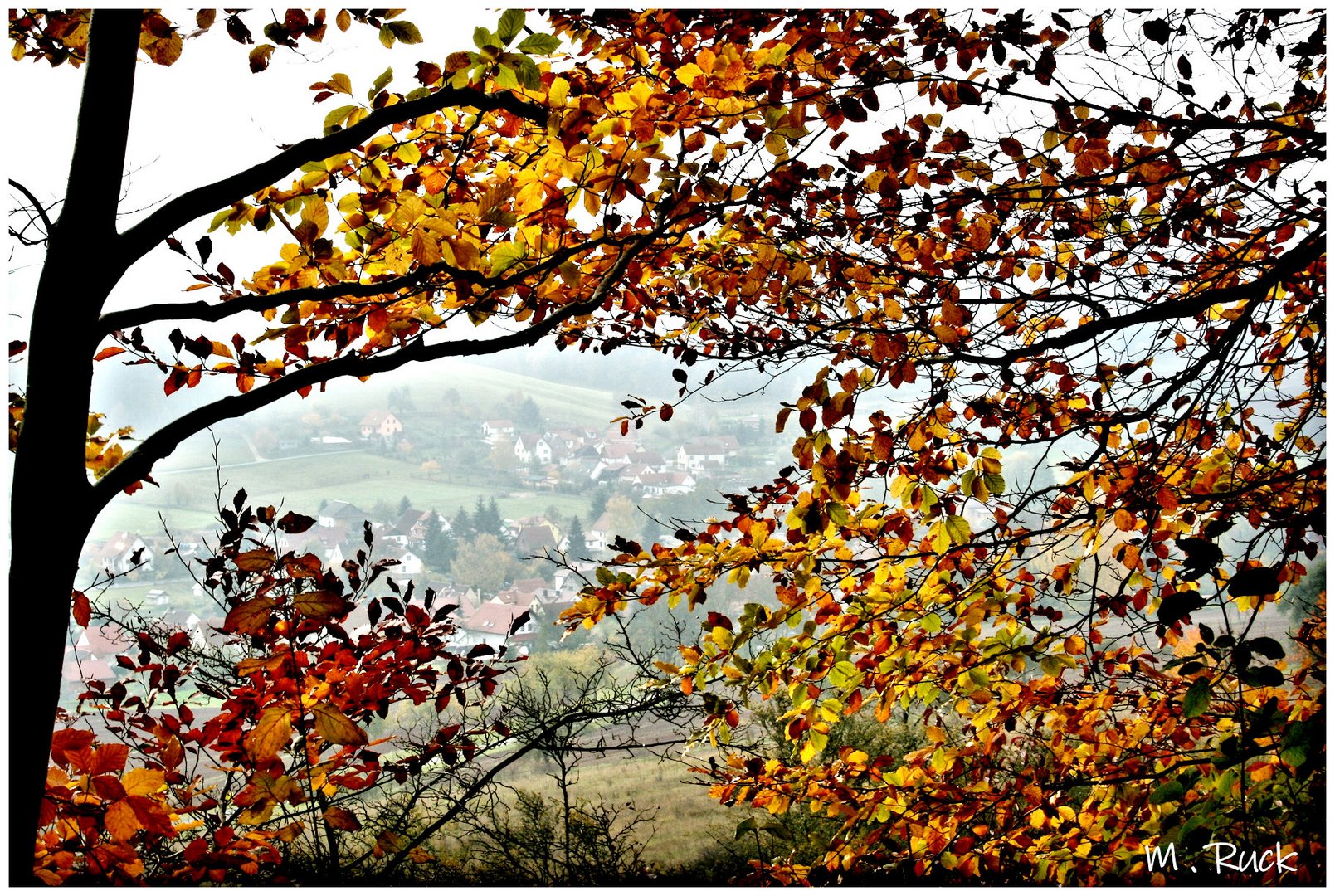 Die Nebel liegen über dem Land Foto & Bild | natur-kreativ, oktober ...