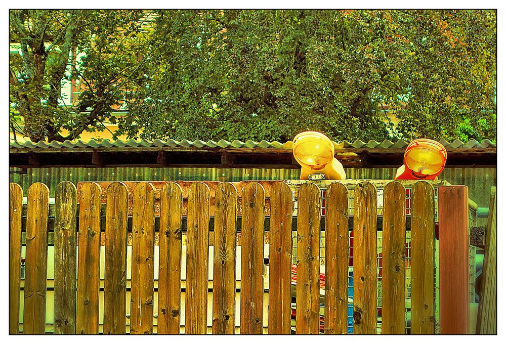 Die Neugier der anderen Foto & Bild | abstraktes, stillleben, zufällige ...