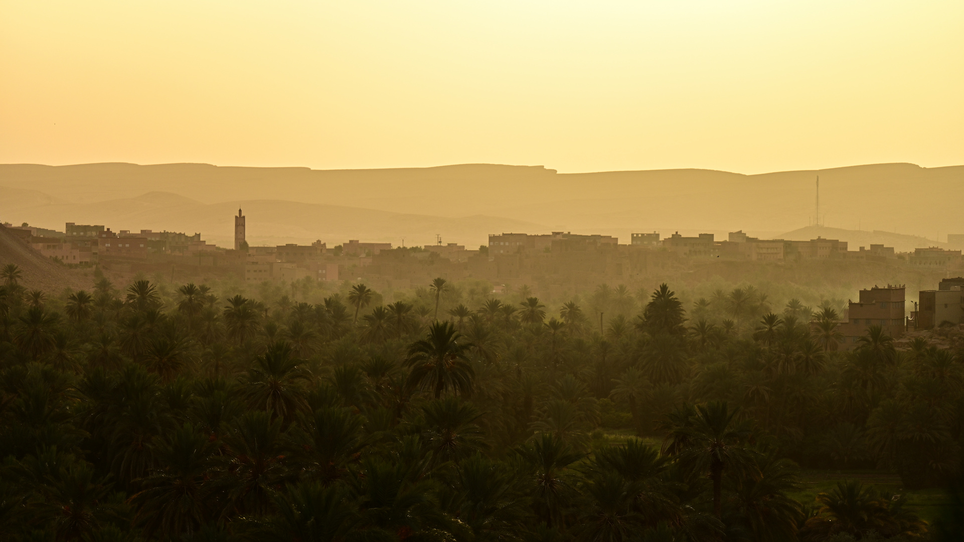 Die Oase Foto & Bild | world, bäume, natur Bilder auf fotocommunity