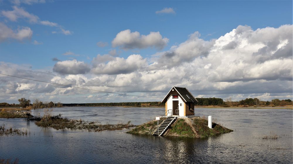 Die ODER... Foto & Bild | landschaft, bach, fluss & see, flüsse und ...