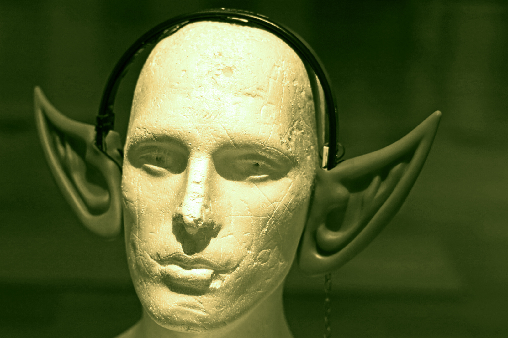 die ohren spitzen Foto & Bild | abstraktes, konzept- fotografie ...