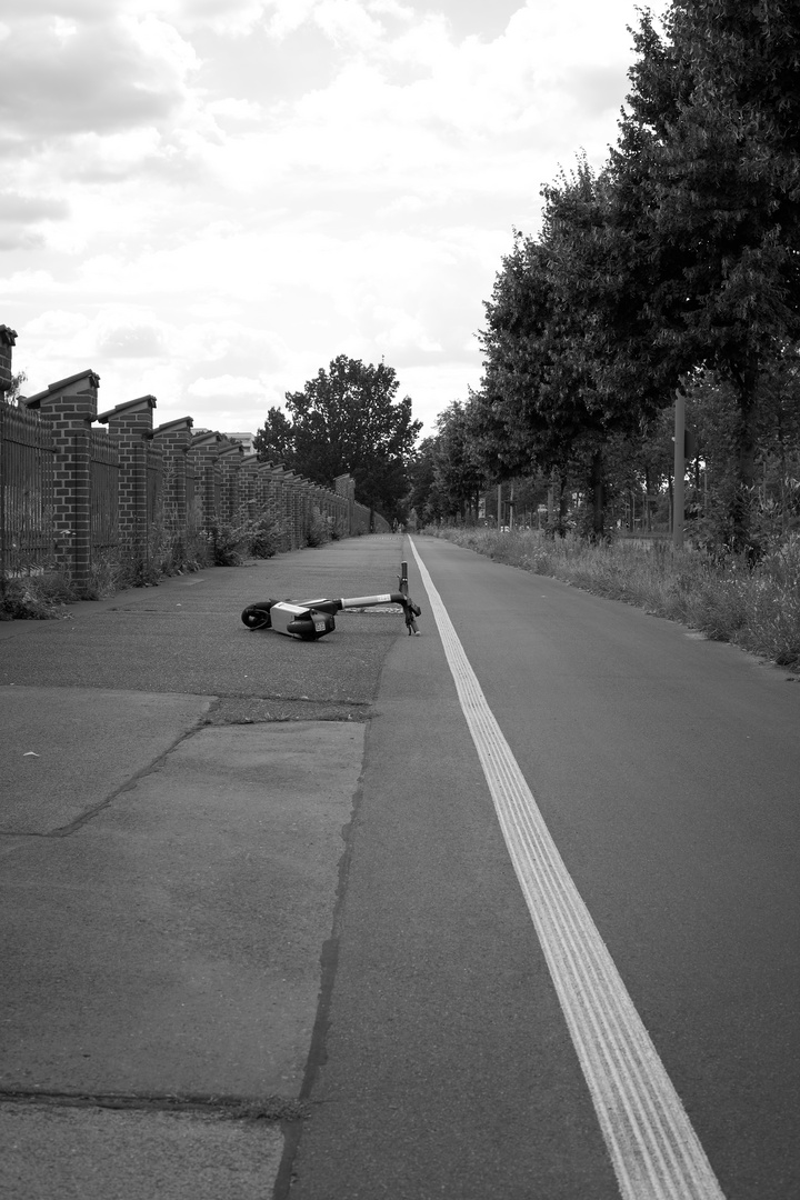 Die Pest Foto & Bild | reportage dokumentation, stillleben ...