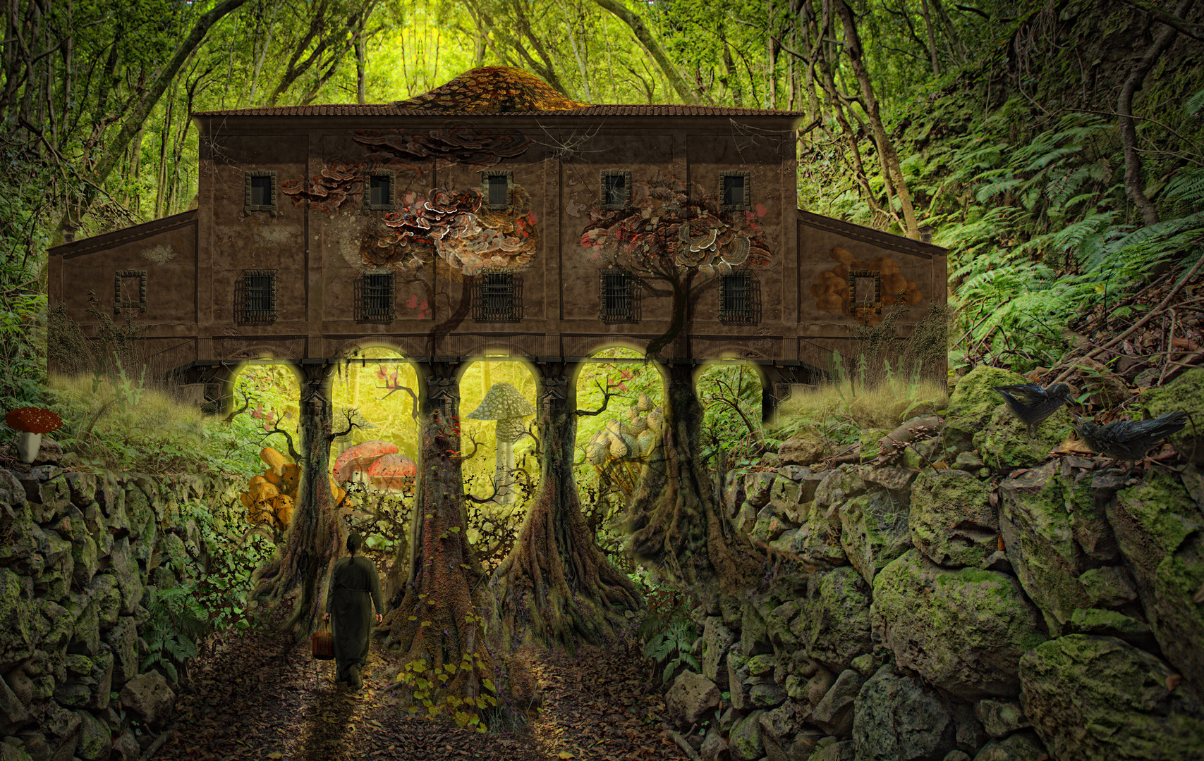 Die Pilz Sammlerin Foto & Bild | fotomontage, bearbeitungs - techniken, filtertechniken Bilder ...