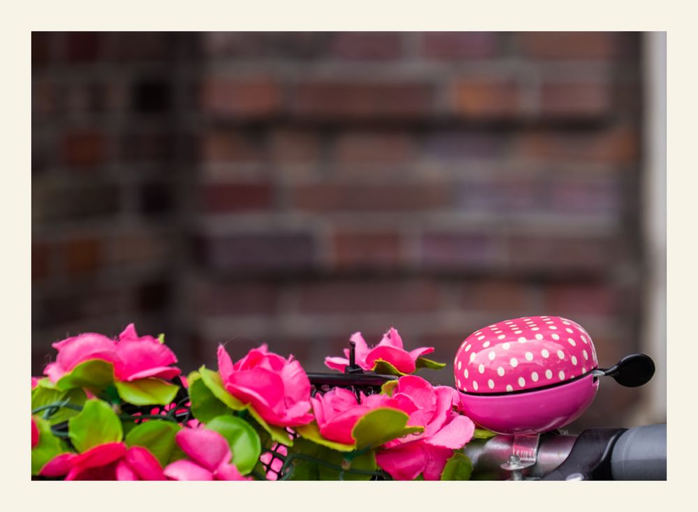 die pinke Klinkel Foto & Bild | world, pink, blumen Bilder auf ...