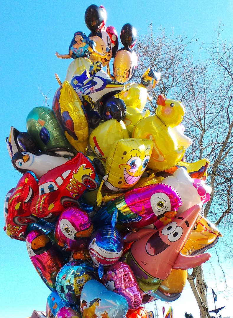 Die Qual der Wahl Foto & Bild | hp- dora zumstein Bilder auf fotocommunity