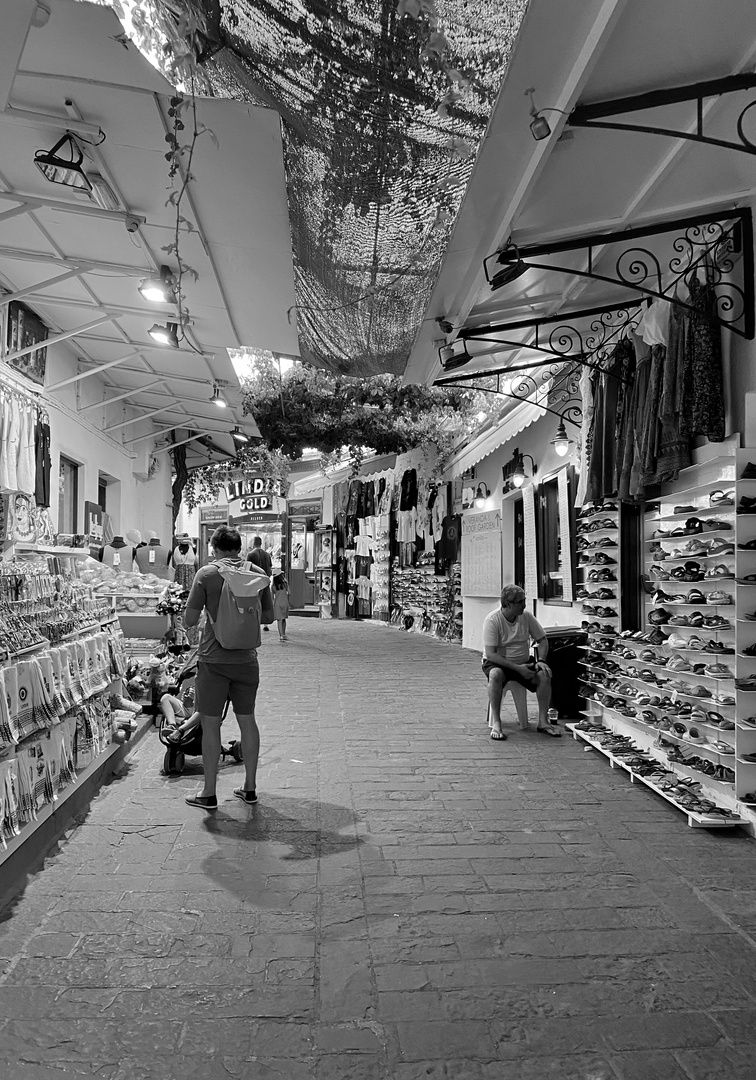 die Qual der Wahl... Foto & Bild | Bilder auf fotocommunity