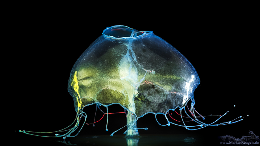 Die Qualle Foto & Bild | experimente, wasser, tropfen Bilder auf ...