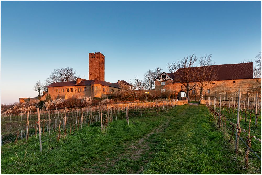 Die Ravensburg Foto & Bild | fotos, sonnenaufgang, winter Bilder auf ...