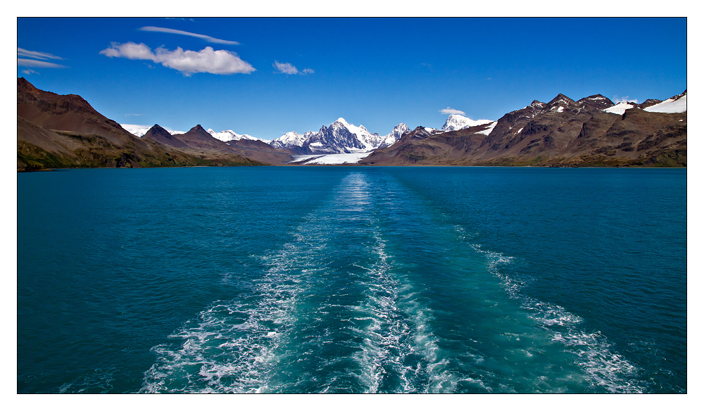 Die Reise der MV FRAM - 106 Foto & Bild | antarctica, subantarctic ...