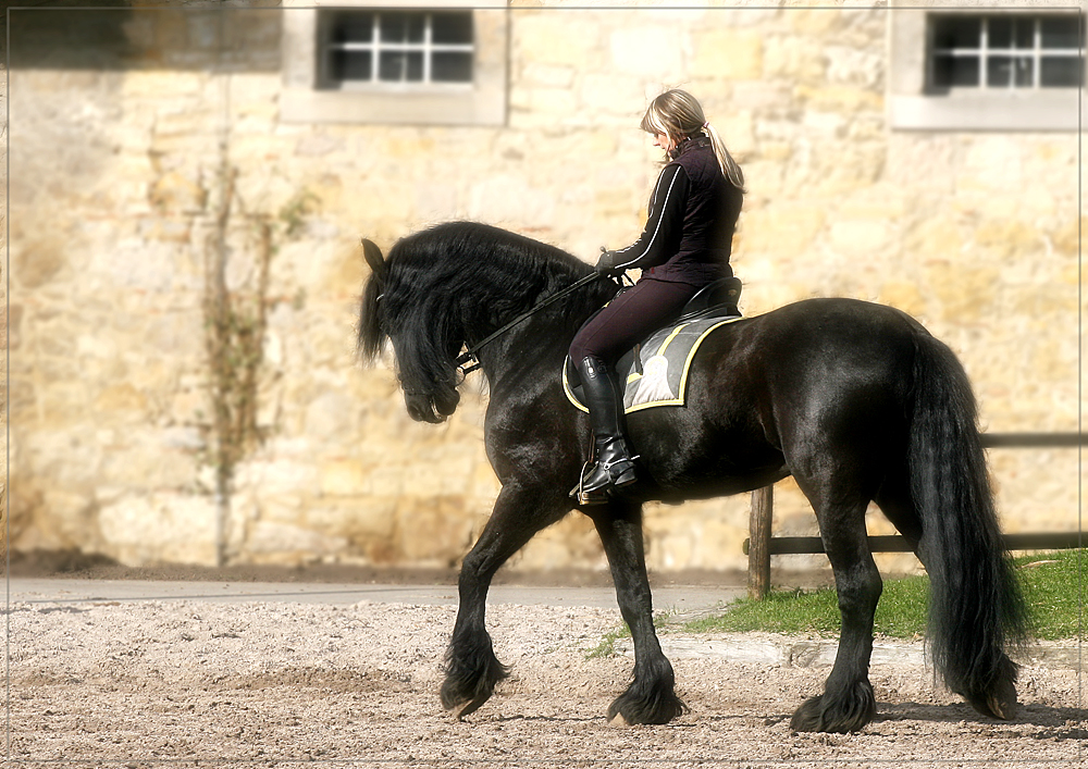 Die Reiterin Foto & Bild | tiere, tier und mensch, natur Bilder auf ...