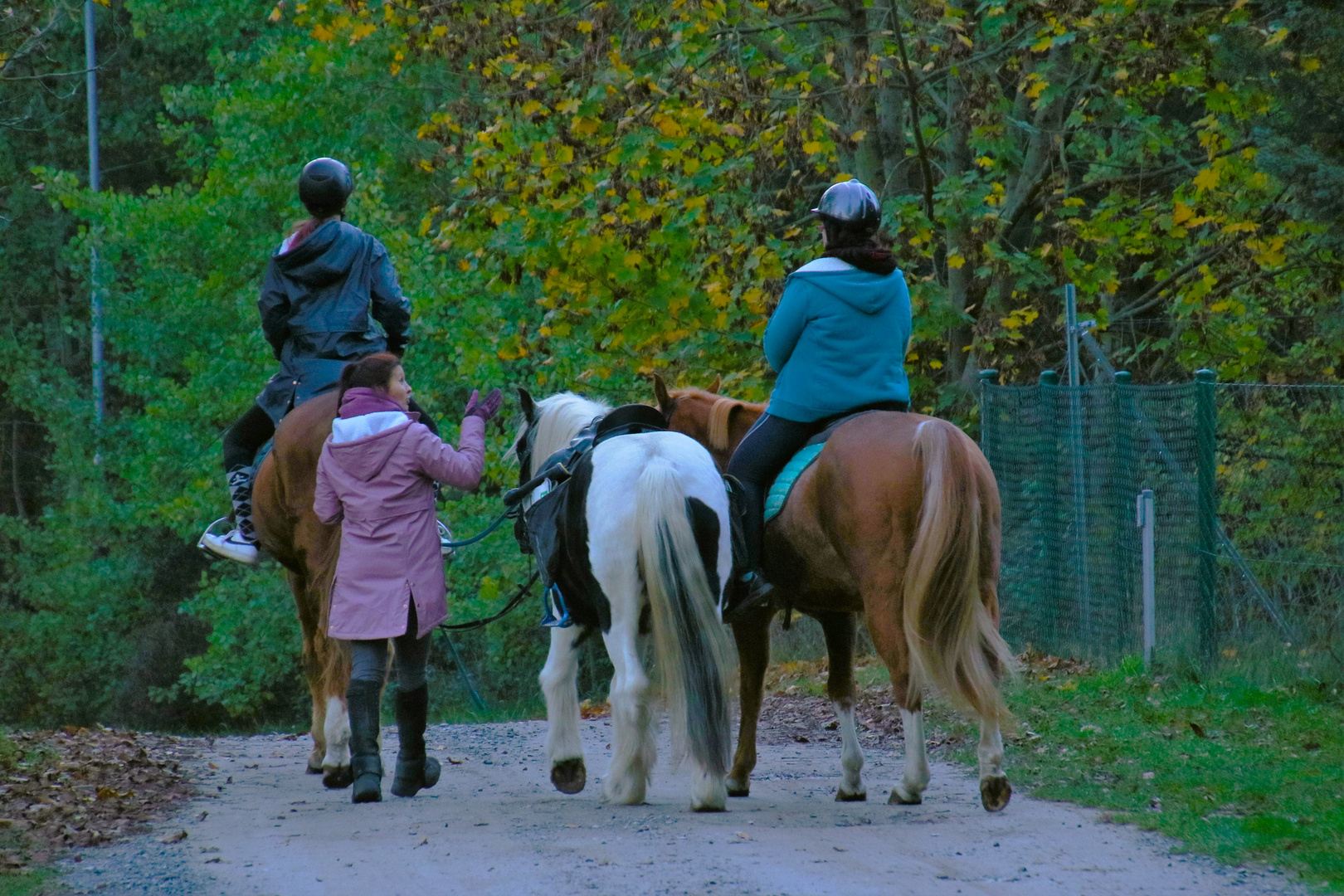 Die Reiterinnen Foto & Bild | tiere, tier und mensch, fotos Bilder auf ...
