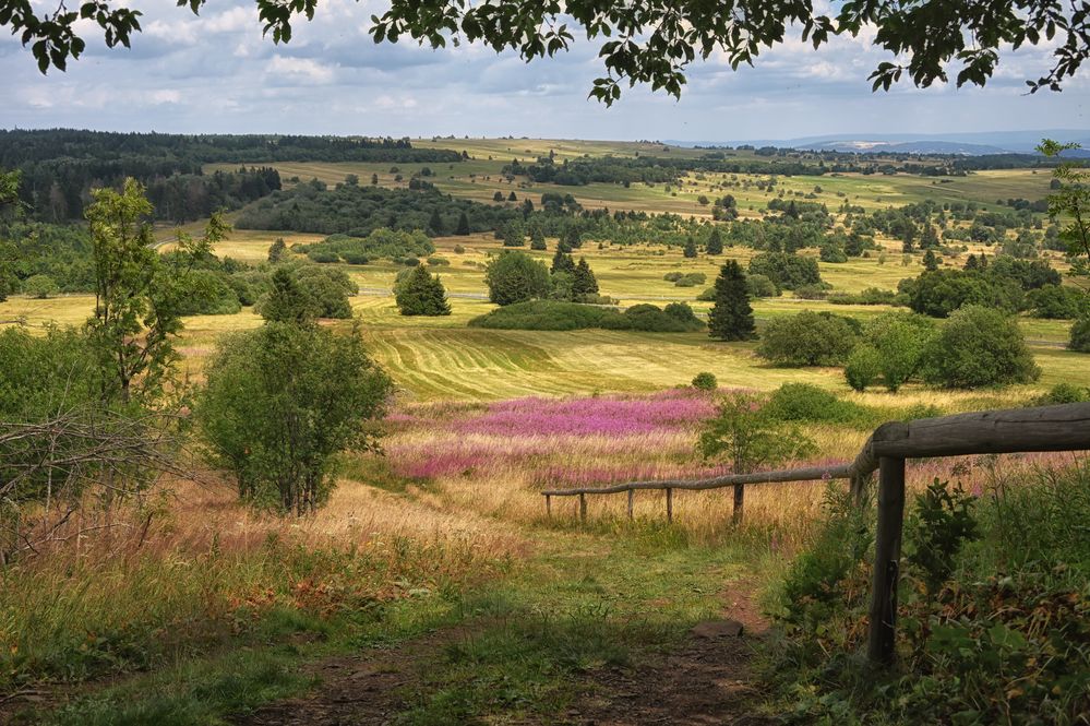Die Rhön... Foto & Bild | world, sommer, natur Bilder auf fotocommunity