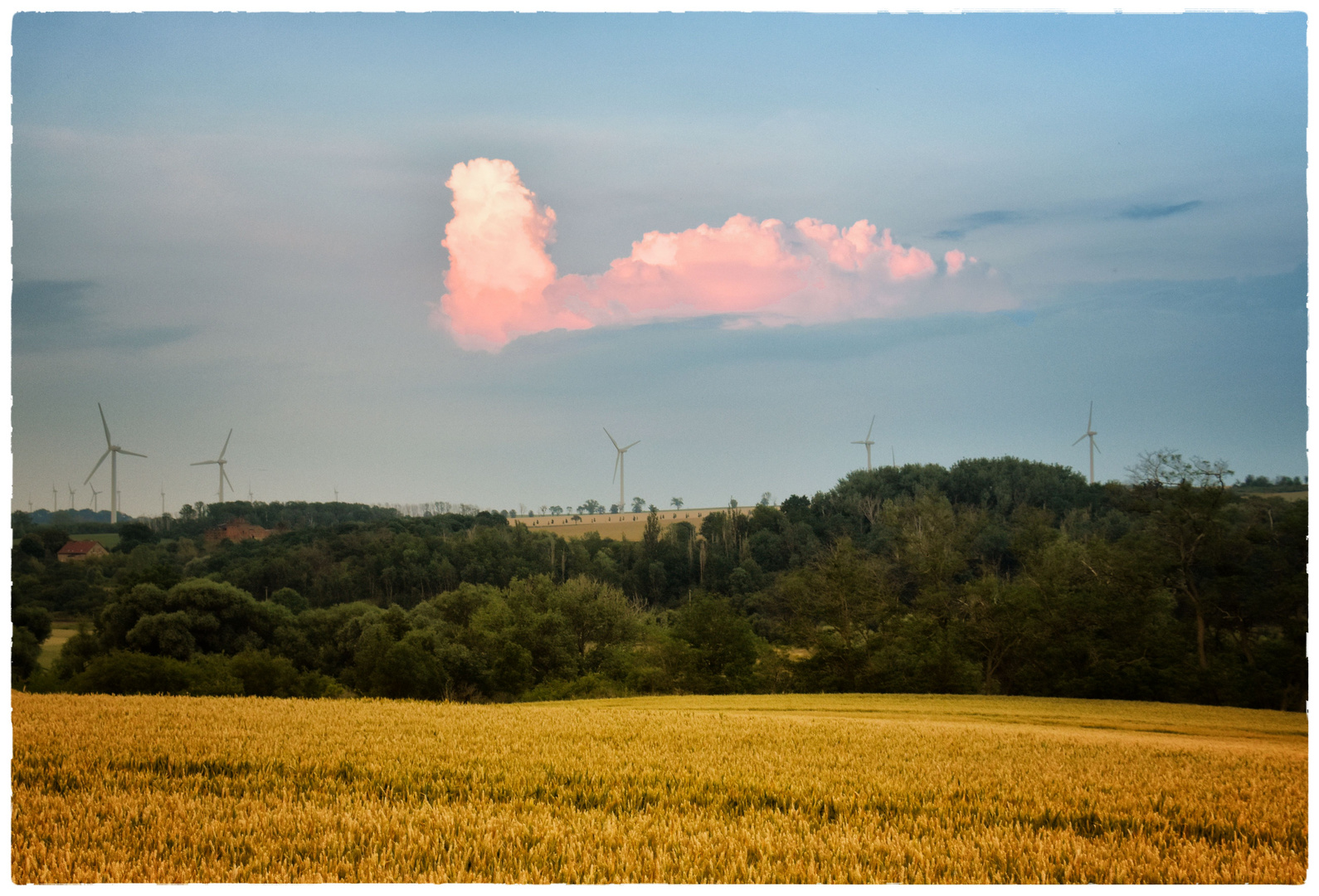 die rosa Wolke Foto & Bild | wolken, himmel, felder Bilder auf ...