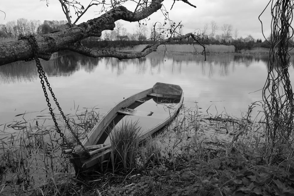 Die Ruhe... Foto & Bild | fotokunst, monochrome fine art, in der natur ...