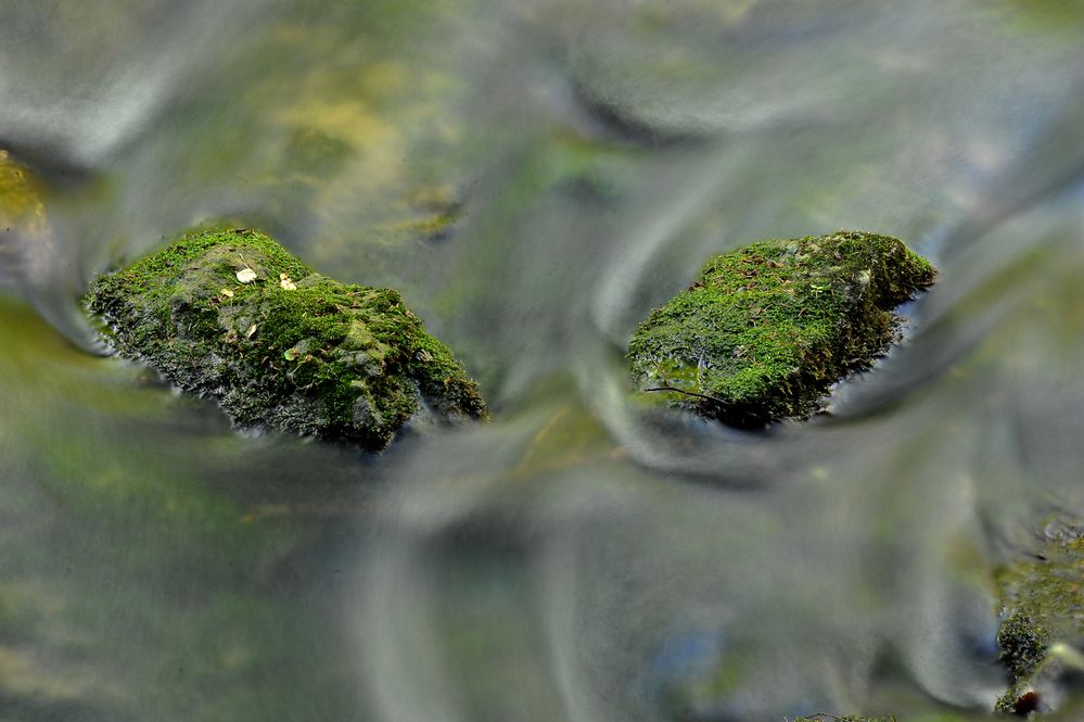 Die Ruhe! Foto & Bild | natur-kreativ, aufnahmetechniken, natur fine ...