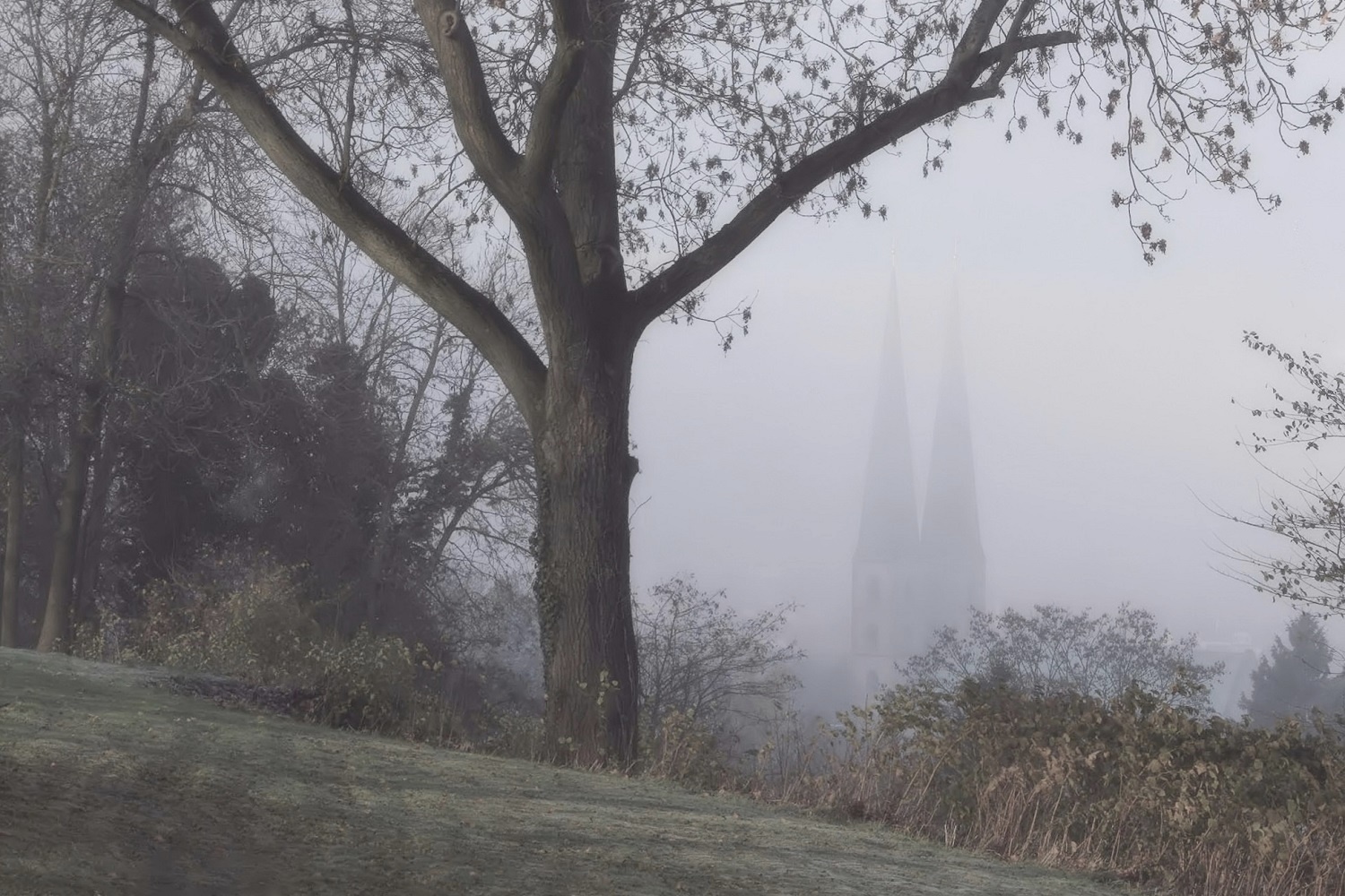 die Ruhe... Foto & Bild | jahreszeiten, winter, vögel und natur Bilder ...