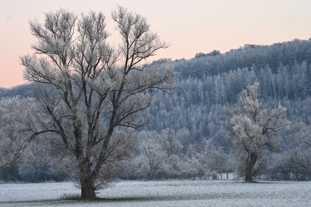 Die Ruhrwiesen in Schwerte spätnachmittags im Winter Foto & Bild | winter, natur, landschaft ...