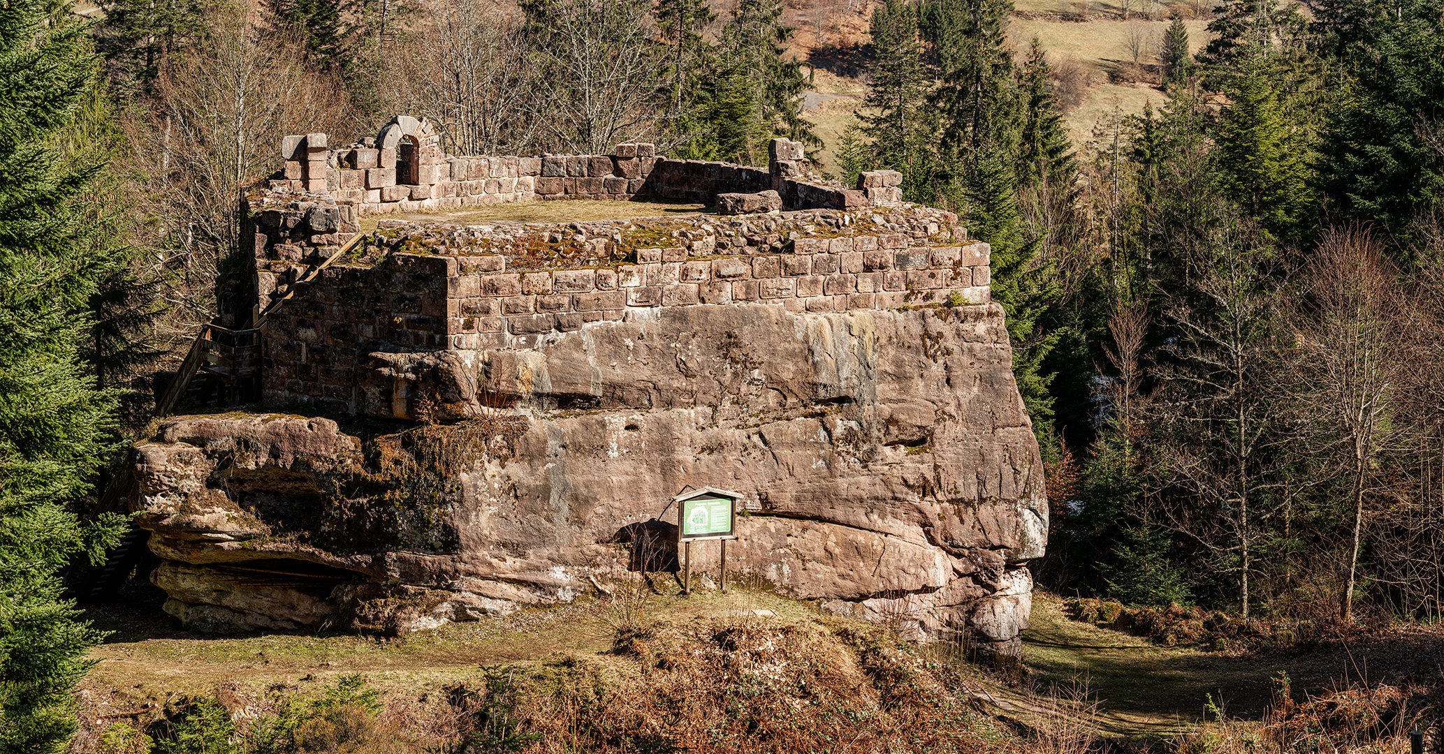 Die Ruine im Wald Foto & Bild | world, fenster, mauer Bilder auf ...