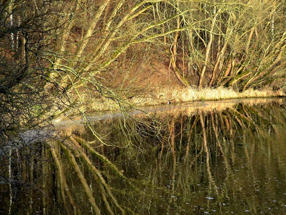 Die Saale bei Hirschberg Foto & Bild | landschaft, bach, fluss & see ...