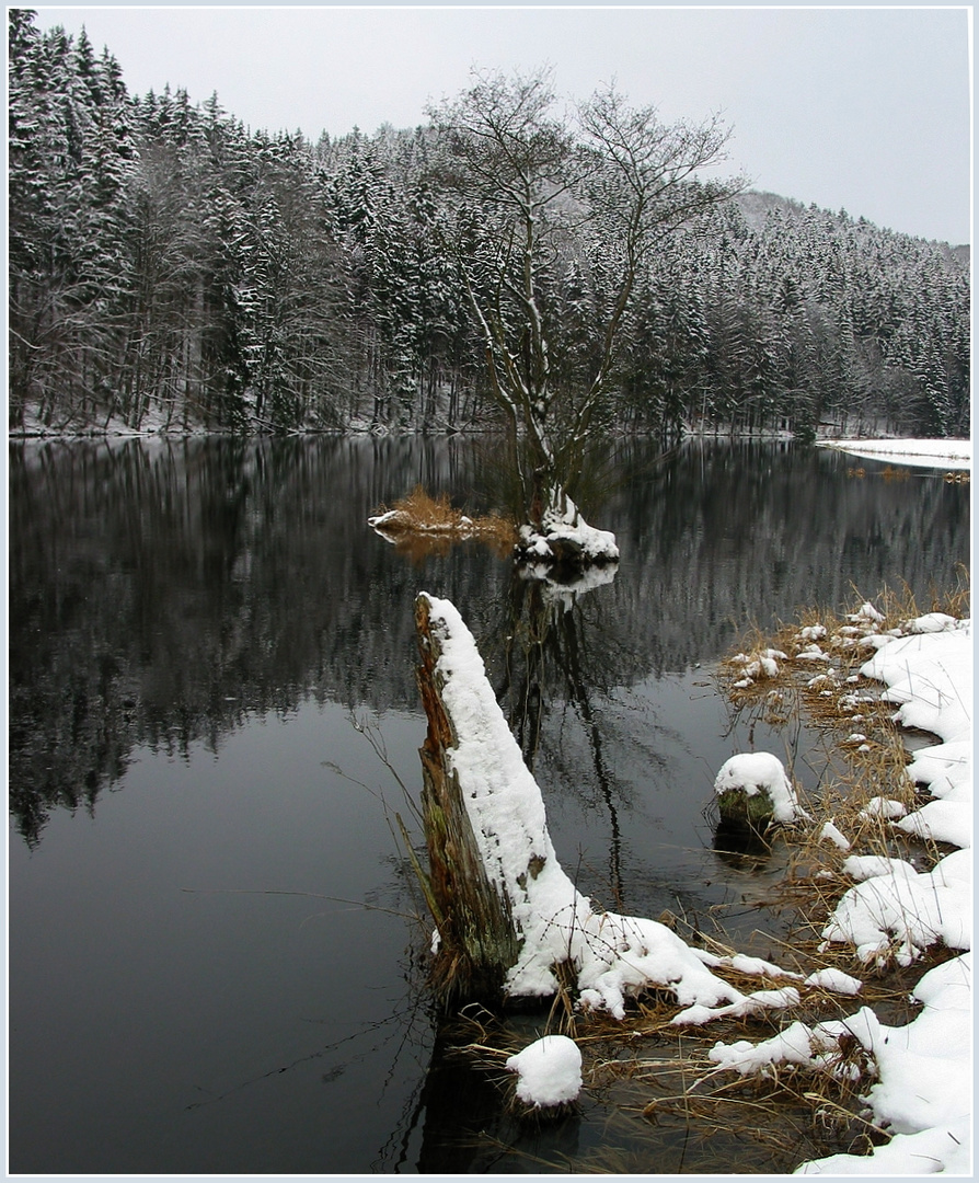 Die Saale im Winter... Foto & Bild | landschaft, bach, fluss & see ...