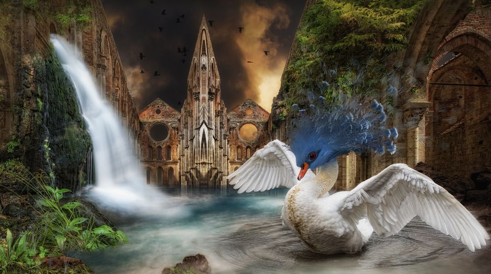 die saat Foto & Bild | fotomontage, landschaften, fantasy mystery Bilder auf fotocommunity