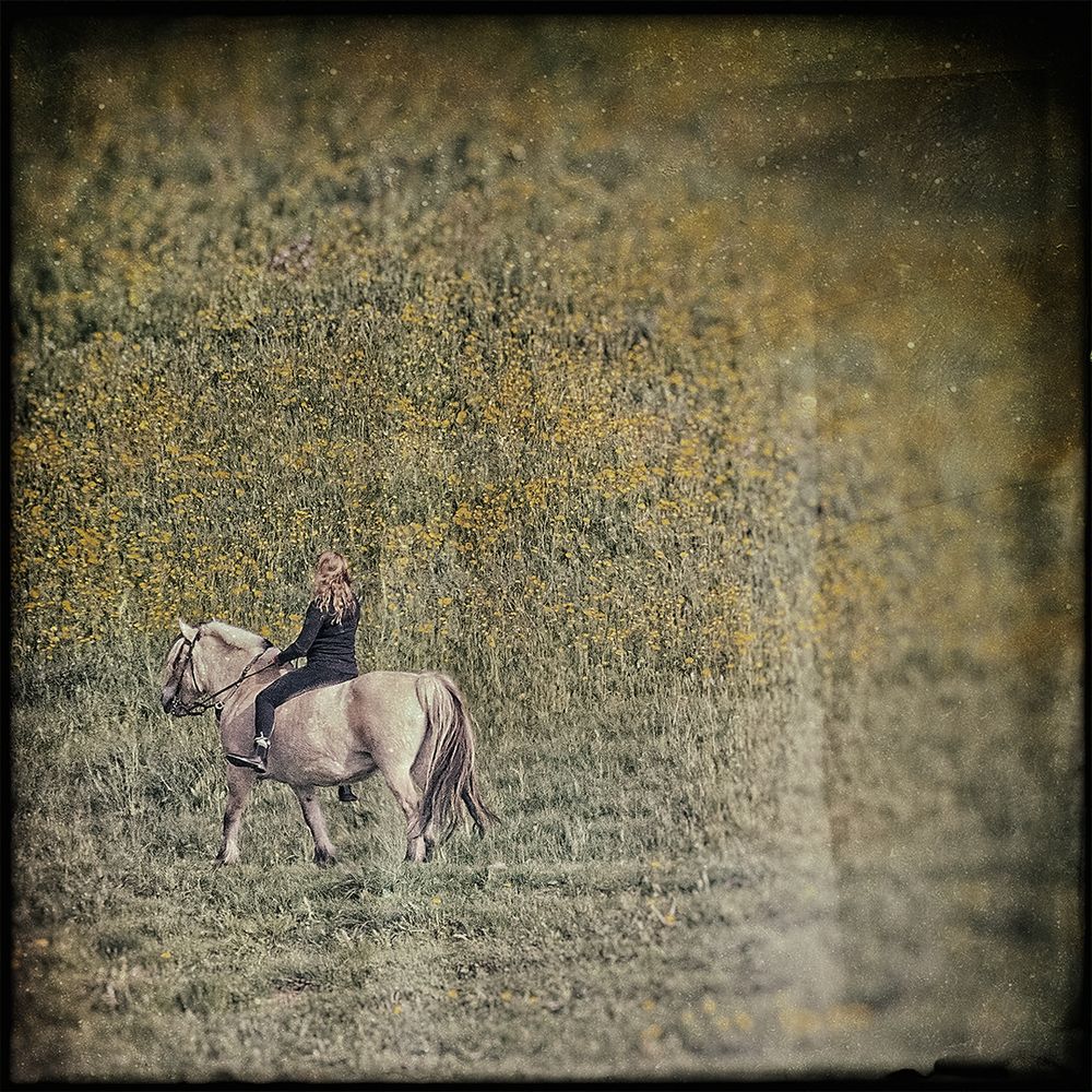 Die SchimmelreiterIn Foto & Bild | fotokunst, bearbeitungs - techniken, filtertechniken Bilder ...
