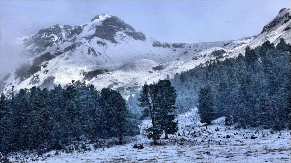 DIE SCHNEEWANDERUNG Foto & Bild | schnee, natur, schweiz Bilder auf ...