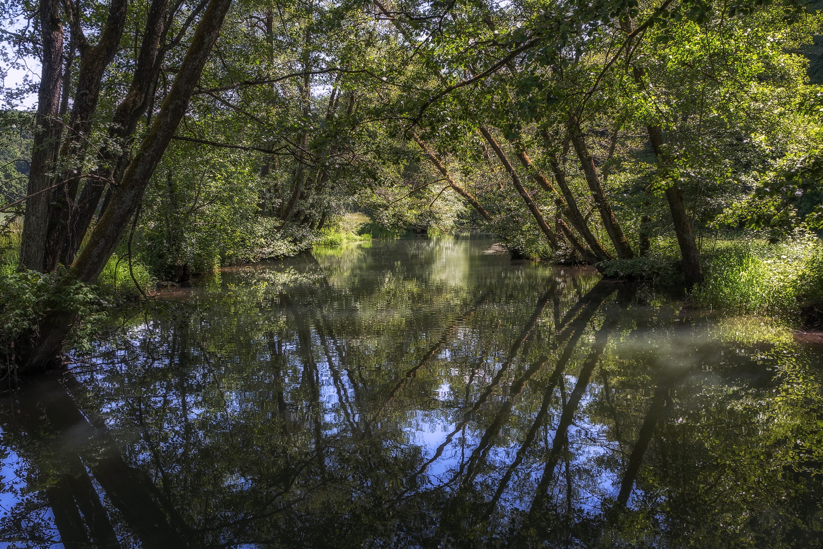 Die Schwarze Laber Foto & Bild | spezial, sommer, wasser Bilder auf ...