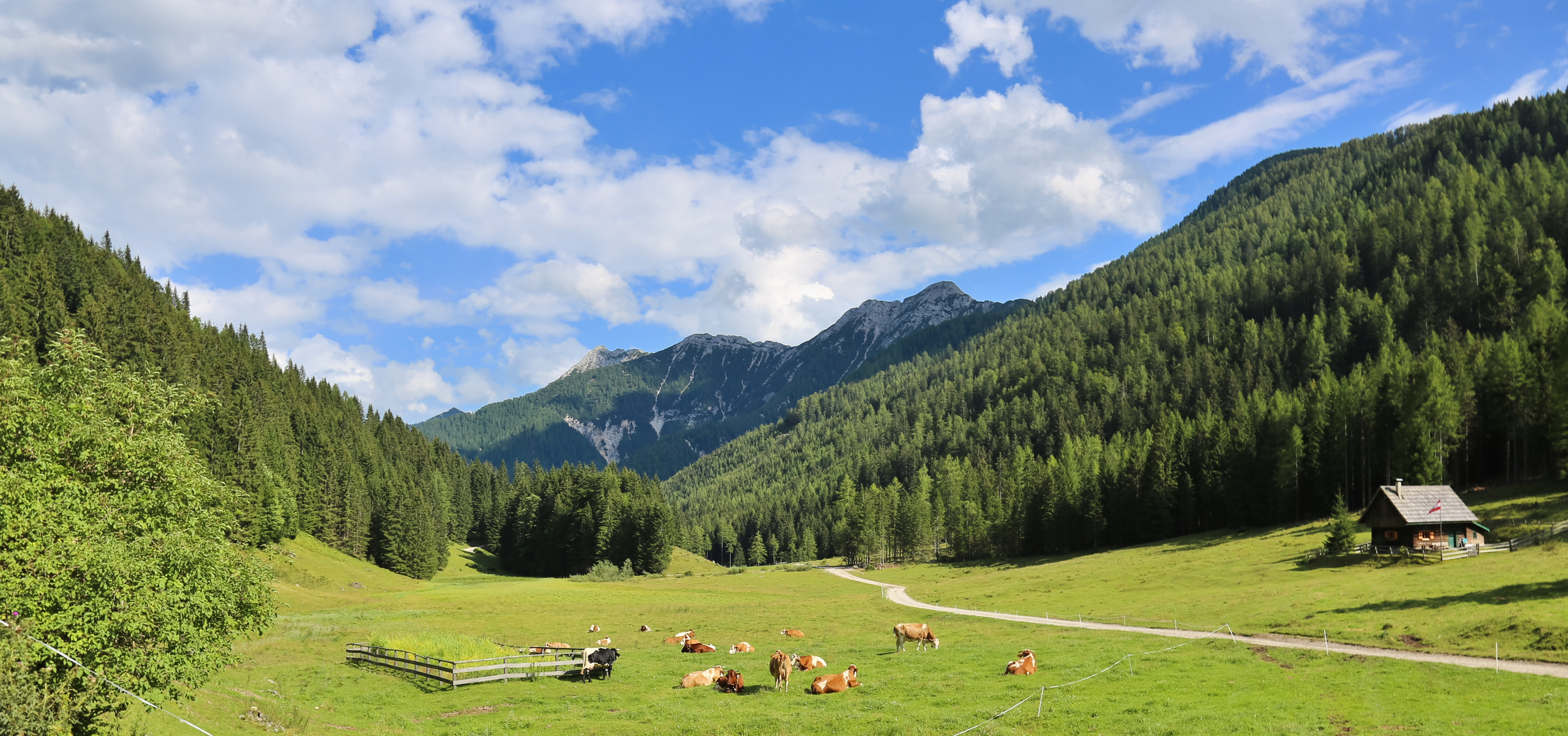 Die Seele baumeln lassen... Foto & Bild | sommer, natur, landschaft ...