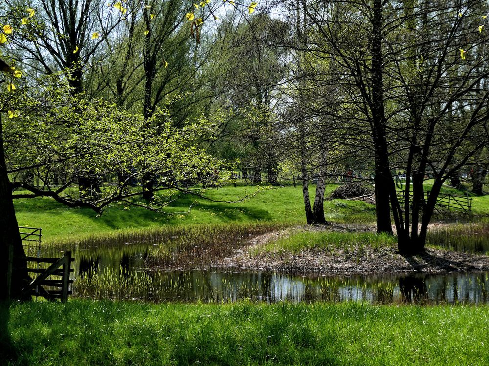 Die Seele baumeln lassen Foto & Bild | landschaft, frühling, berlin ...