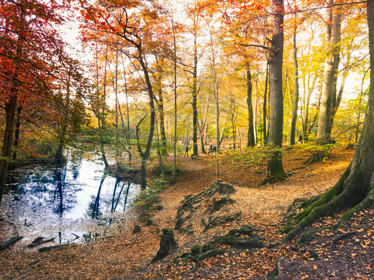 Die Sieben Quellen Foto & Bild | jahreszeiten, fotos, outdoor Bilder ...