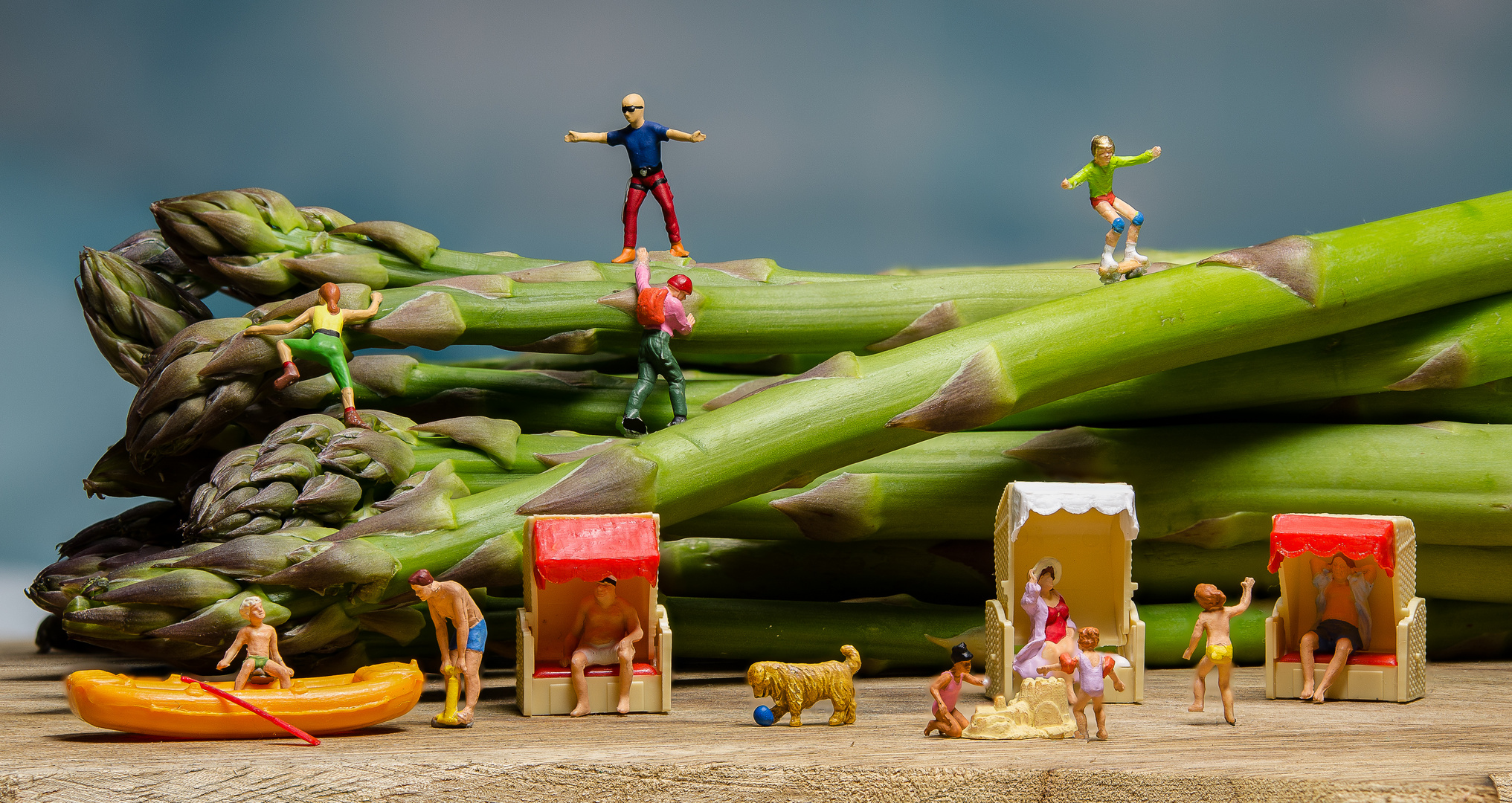 Die Spargelzeit ... Foto & Bild | stillleben, food-fotografie, sport ...